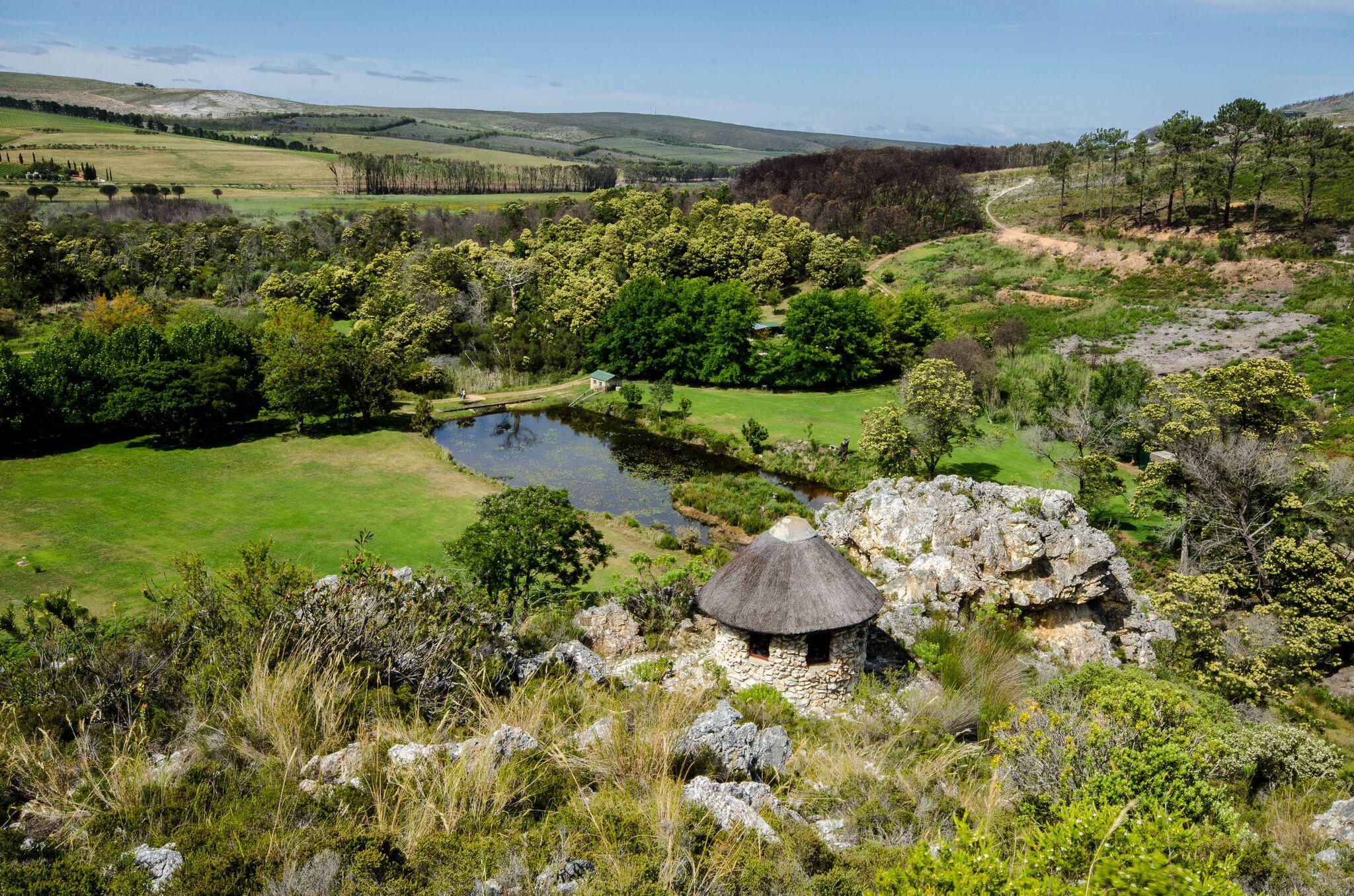Volmoed Farm Accommodation in the Hemel-en-Aarde Valley Hermanus